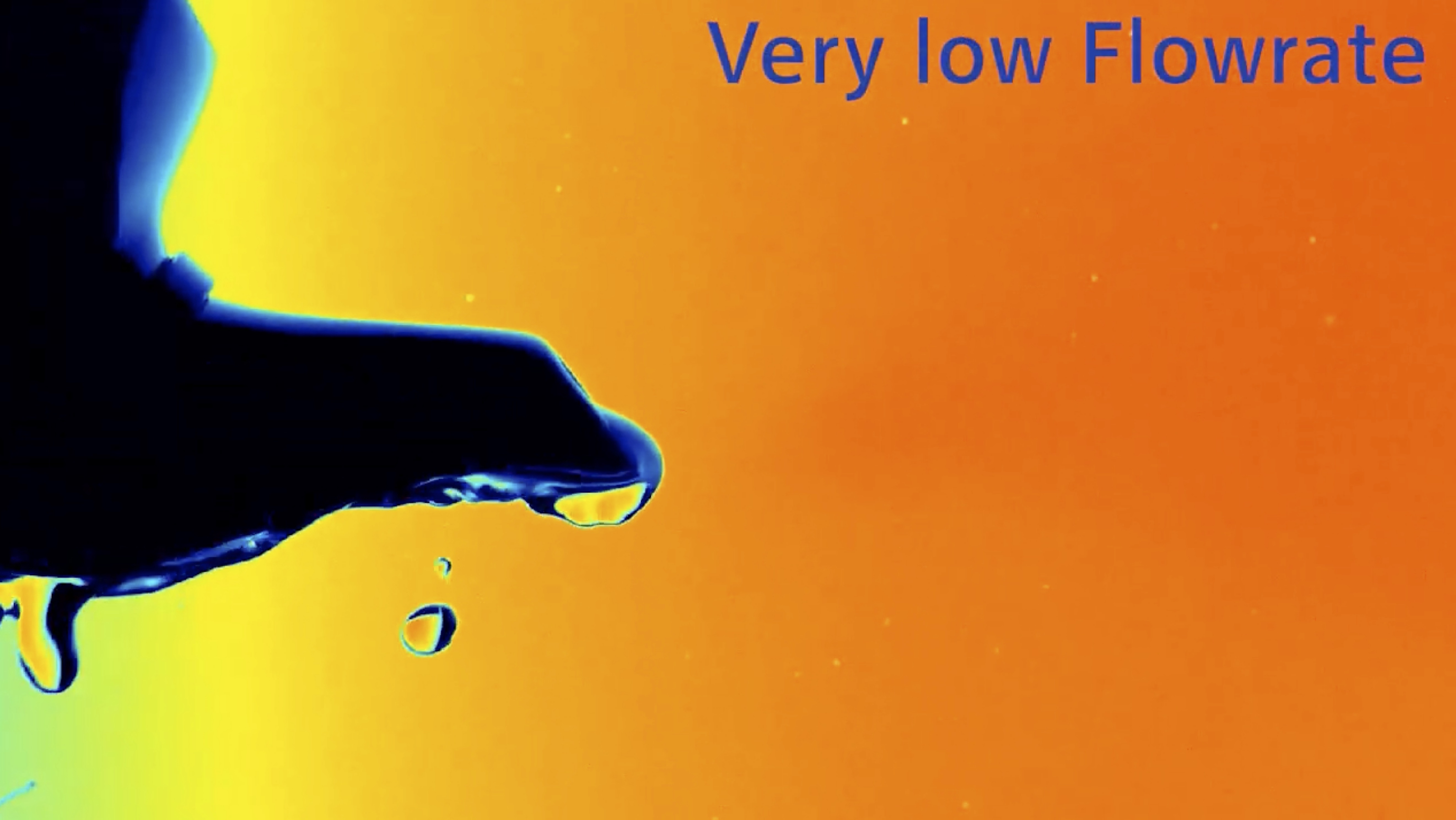 Marco De Paoli | Marco De Paoli